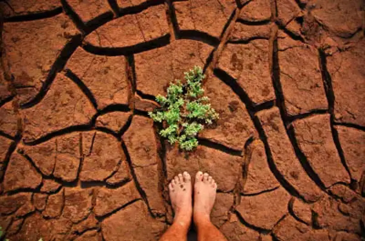 Just One Thing: Embrace Fragility